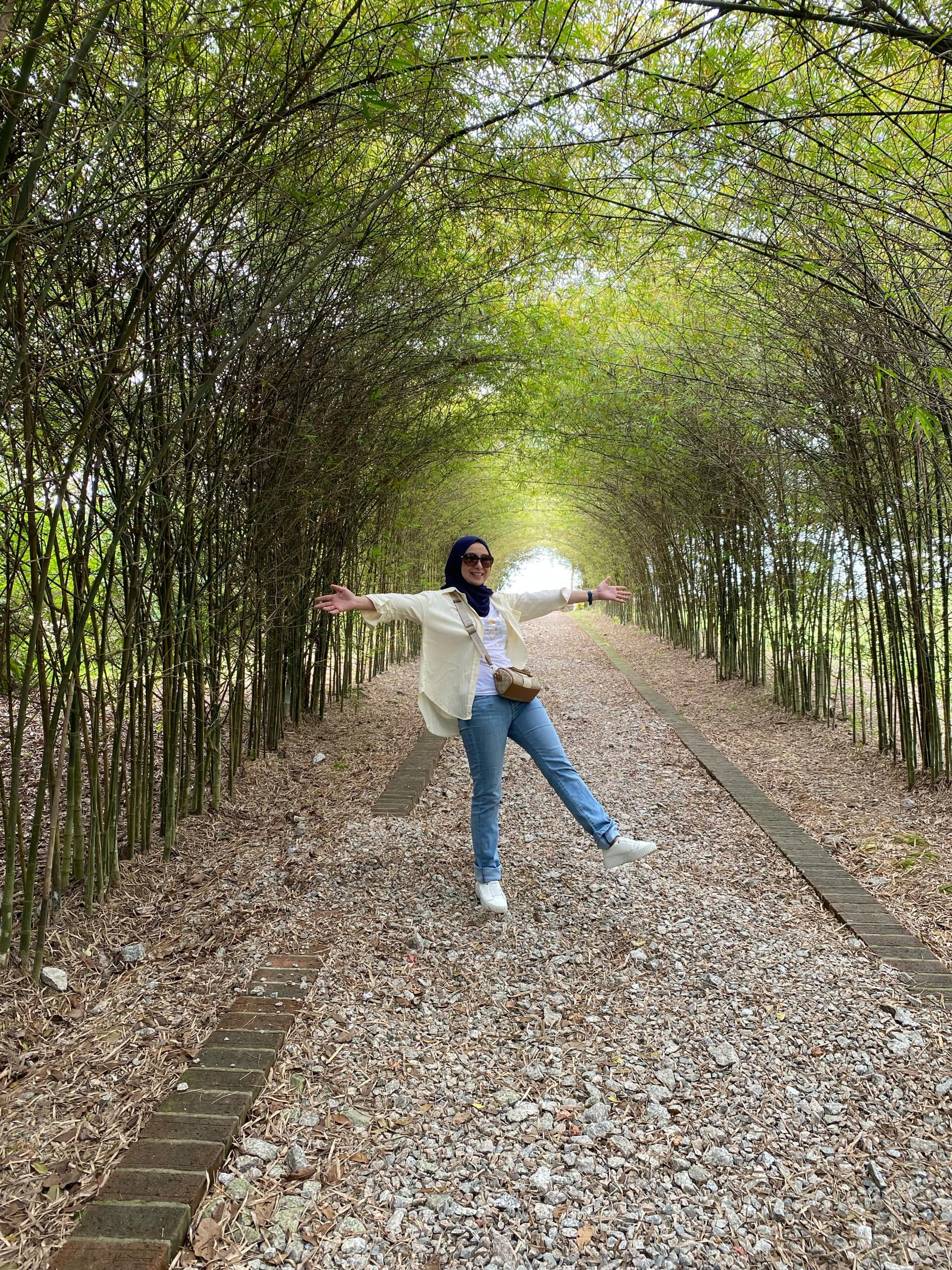 Bamboo and Life: Lessons in Resilience, Patience, and Growth